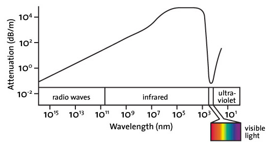 Weekly Science Quiz: The Evolution of Sight