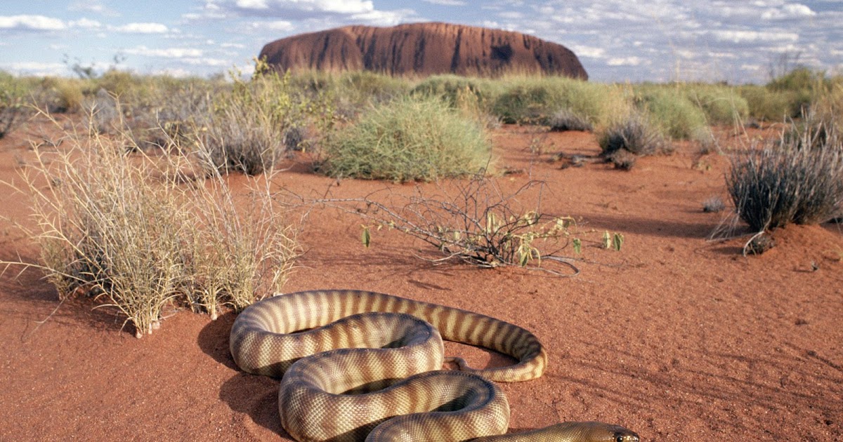 Uluru (Ayers Rock)- Australia