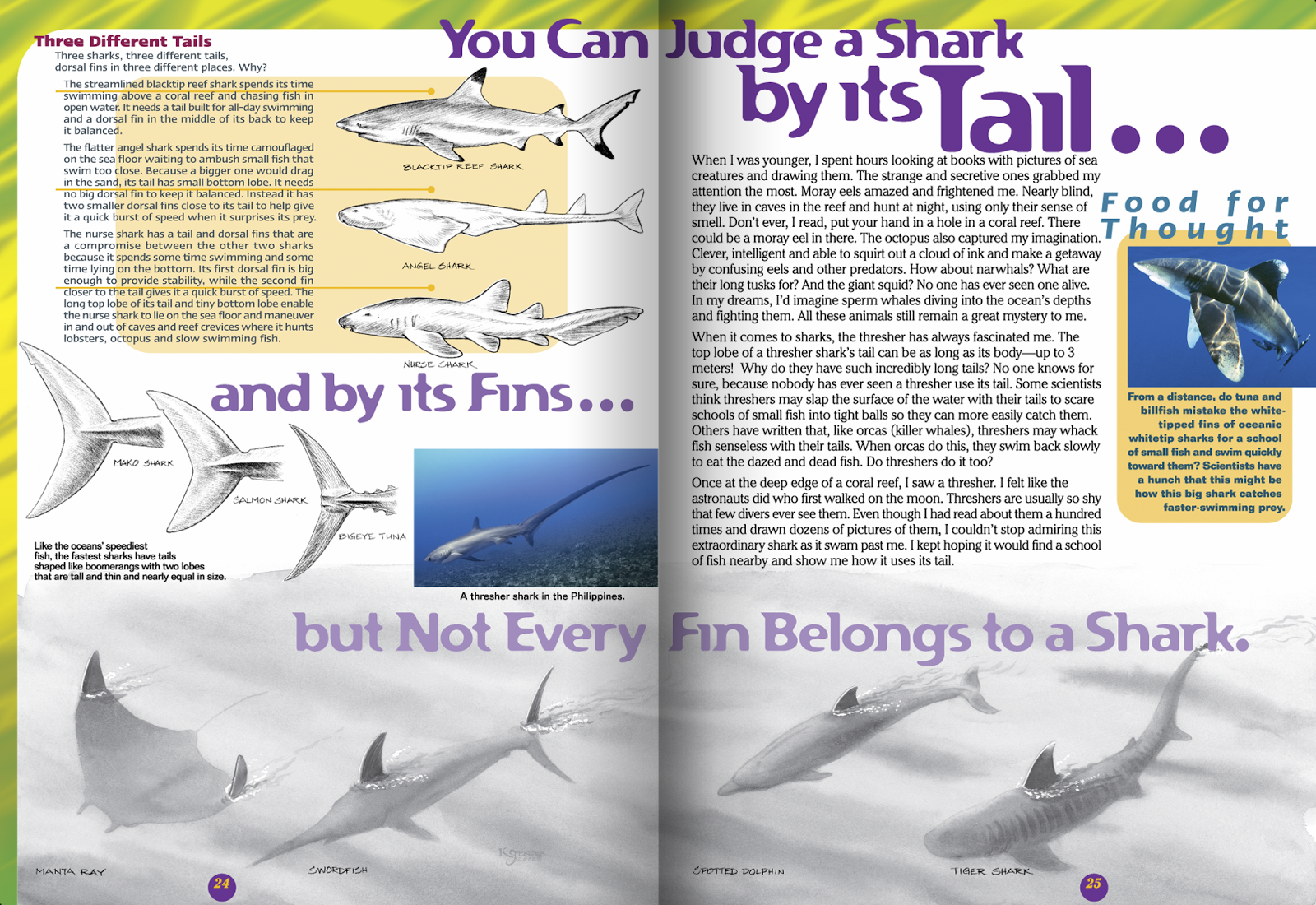 Keith Meehan Creative: Information Graphics