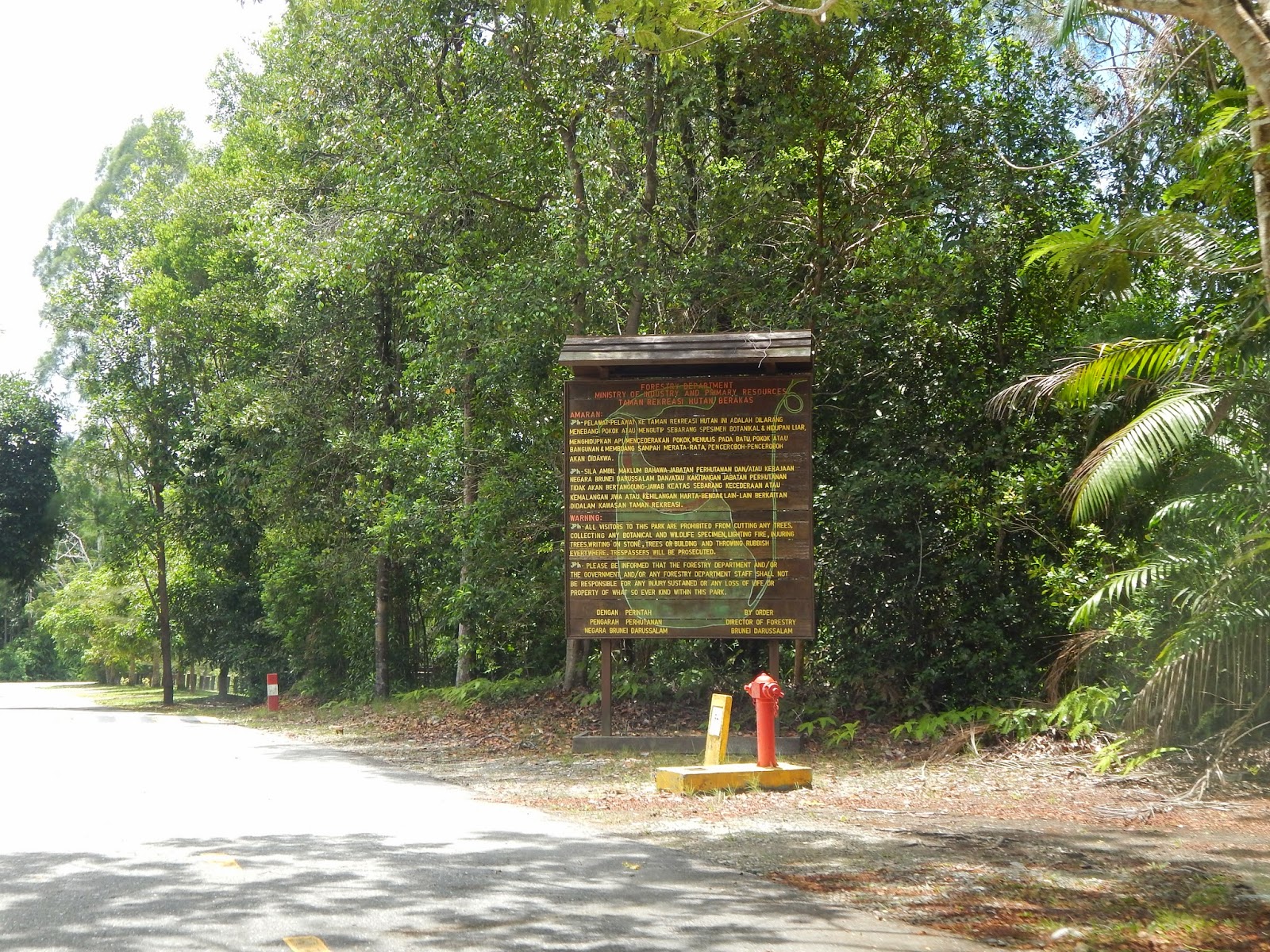 The Amazing place in BRUNEI DARUSSALAM : Hutan simpan Berakas