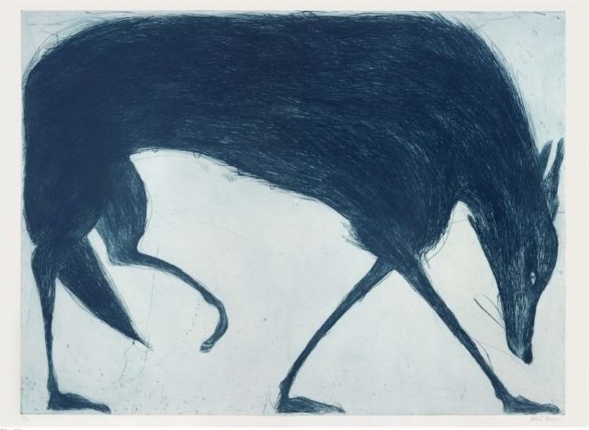 the art room plant: Kate Boxer