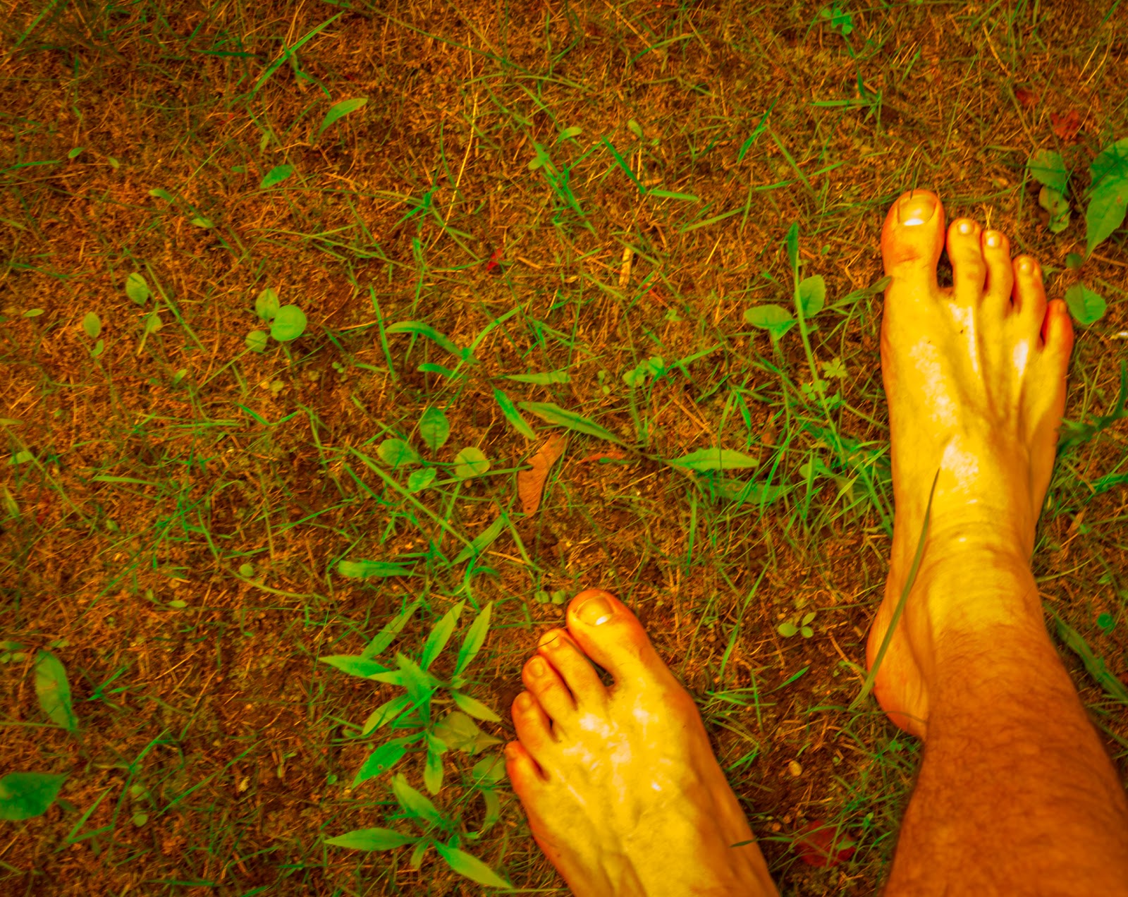 Astralinės Kelionės