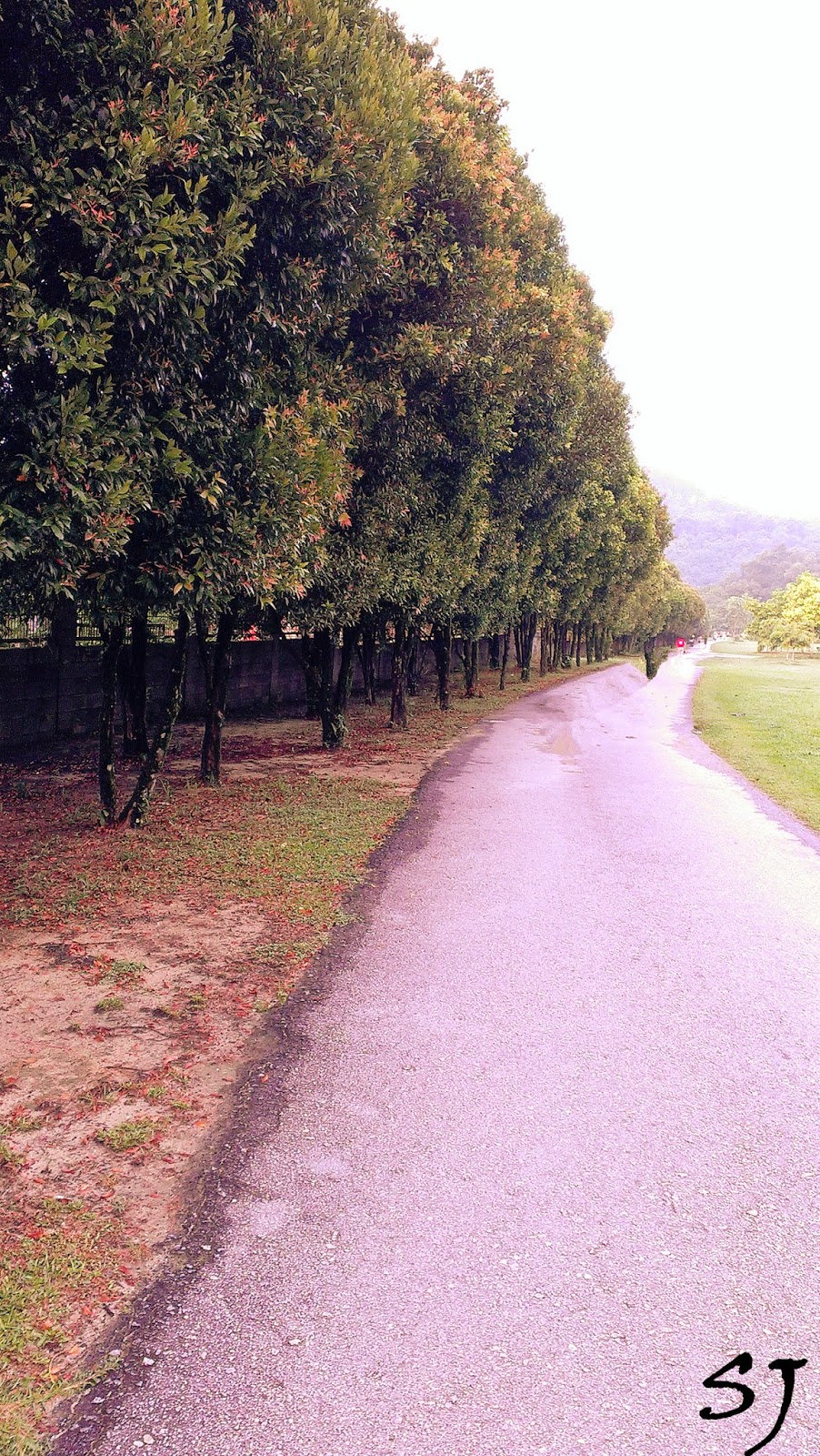 My Palace, My symphony of life and the rhythm in My heart: With Mother ...