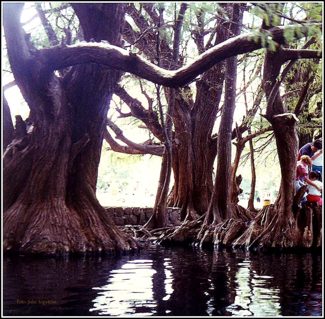 MAGIAS DE MÉXICO: UN PASEO POR EL LAGO DE CAMÉCUARO