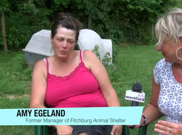 Four legged friends (and enemies): Massachusetts: Mayor orders shutdown ...