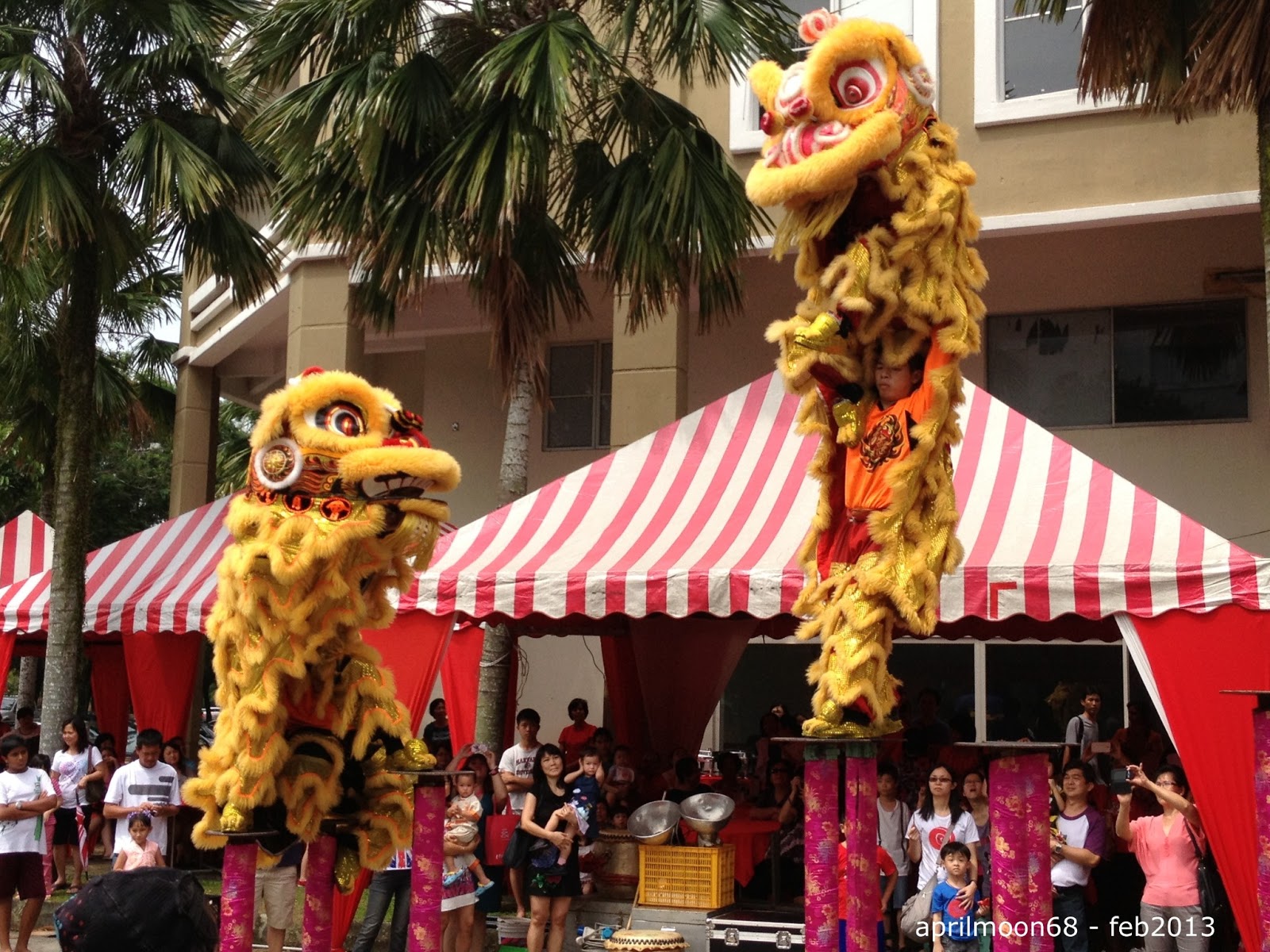 Sneak Peek: My dose of Lion Dance Performance in the year 2013