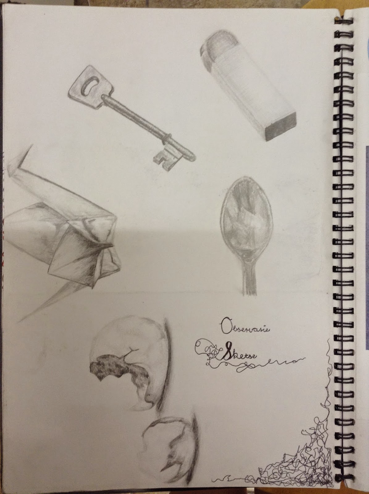 Chapter 2014 Art Observation Drawings: Observation drawings
