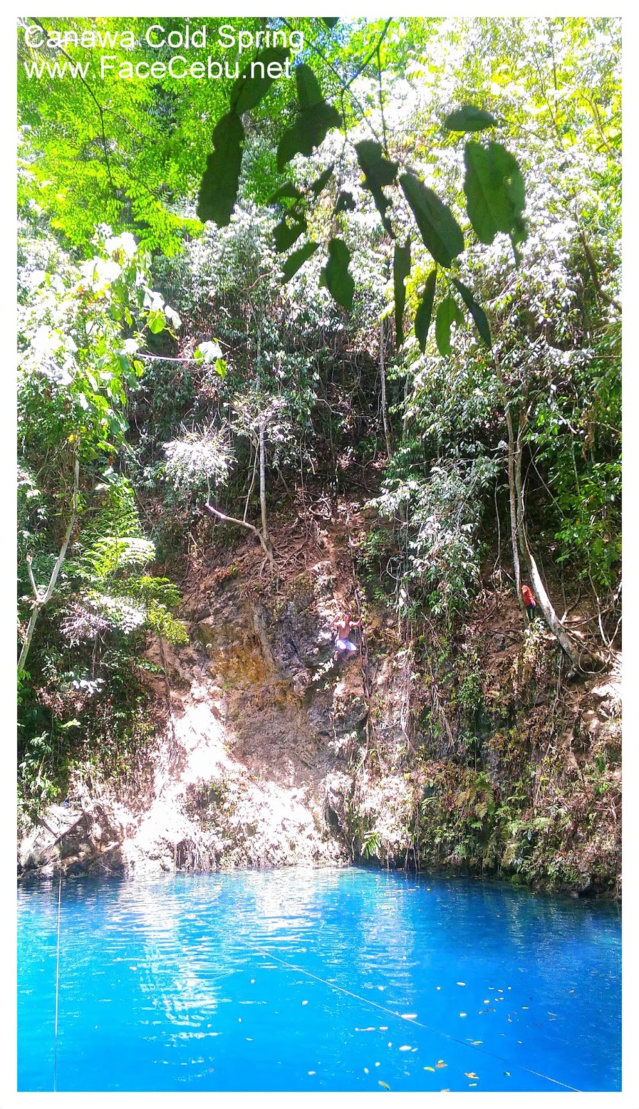 Visit Bohol Tourist Destinations and Beautiful Spots - FaceCebu | Cebu ...