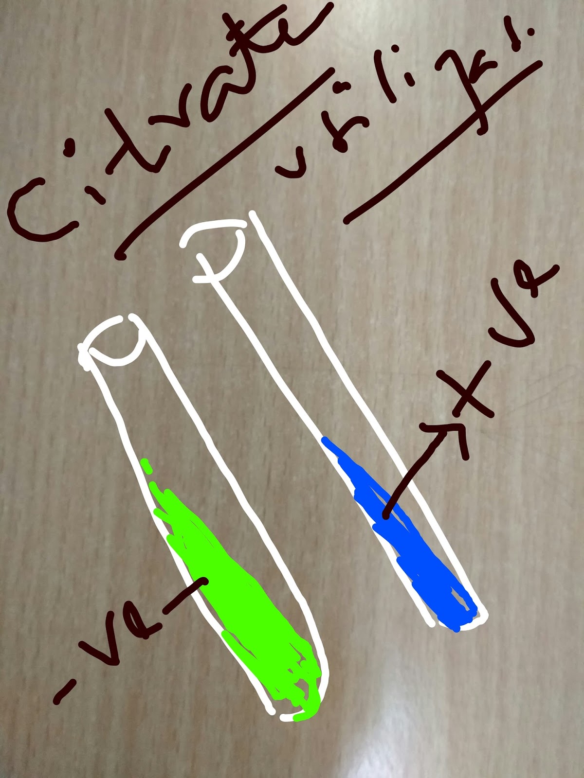 SENTHIL PRABHU SIVASAMY: Citrate Utilization Test