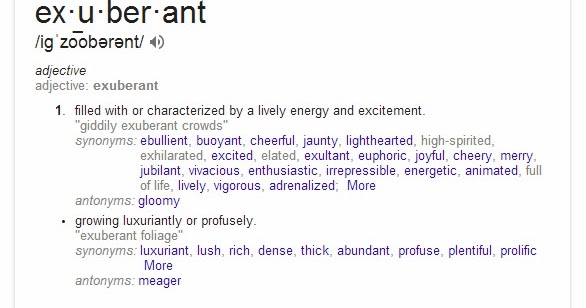 Morwhenna. The Creative Adventurer: So what does living Exuberantly ...