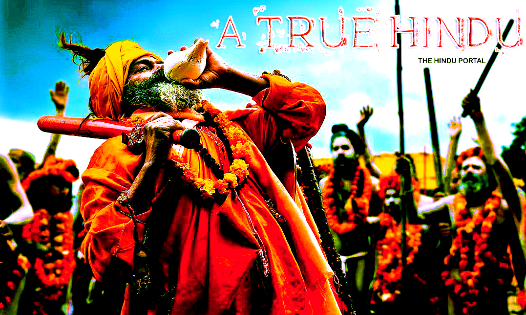 A True Hindu: The fact you should know in a modern view