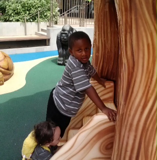 MILES RASHEED XAVIER BERRY: Miles, Miles, Miles of the Jungle.............