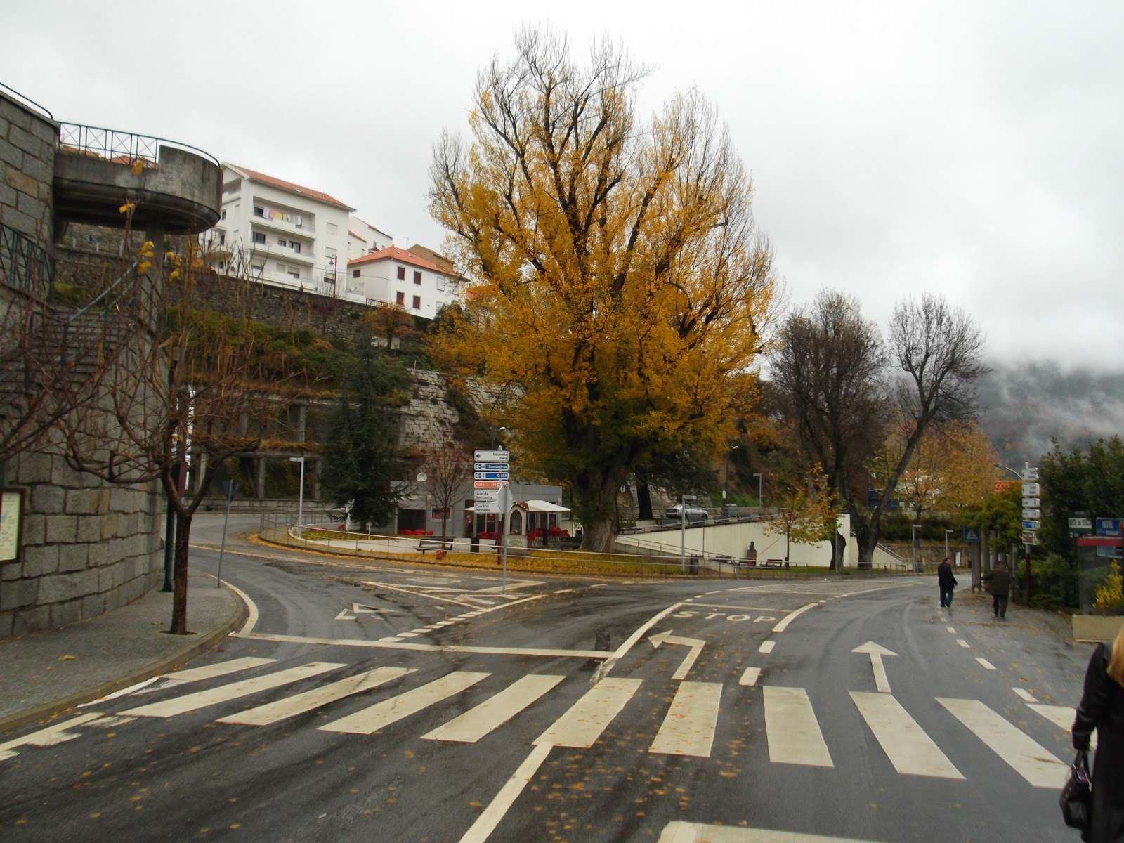 Chá de Limonete: novembro 2012