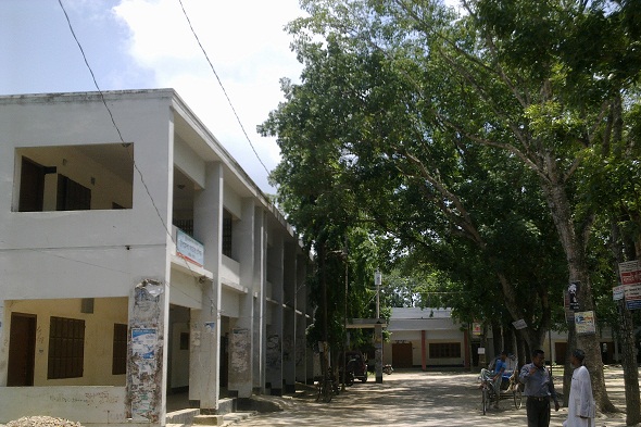 Homna - Comilla: Debidwar Upazila Comilla image collection | Part 2