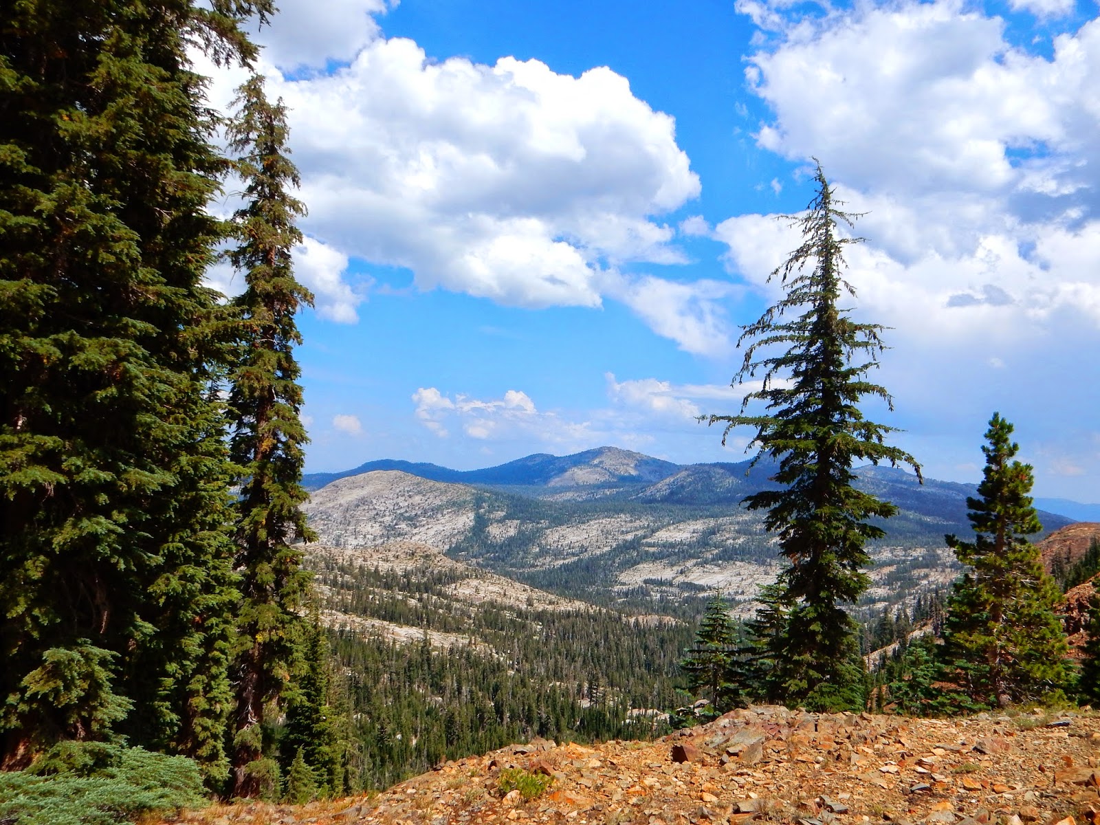 Peachy Hiker: McConnell Lake Loop ~ Primitive Trail ~ in Desolation ...
