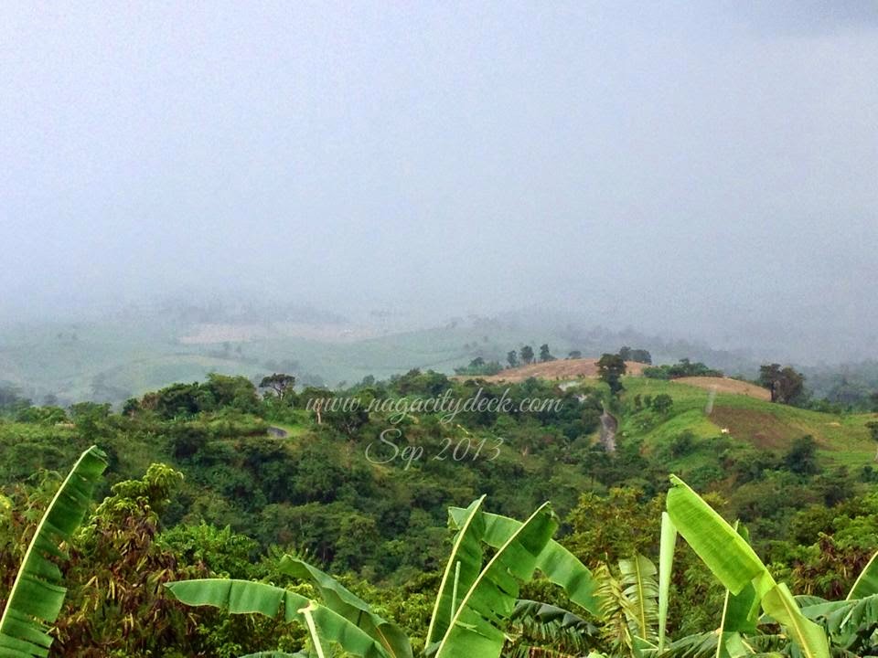 Guide to Consocep Mountain Resort / Falls ~ Naga City Deck