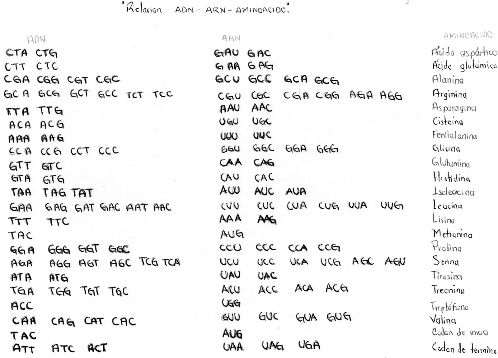 CURSO DE FISIOLOGÌA CON LABORATORIO.: TRIPLETES-CODONES-AMINOACIDOS