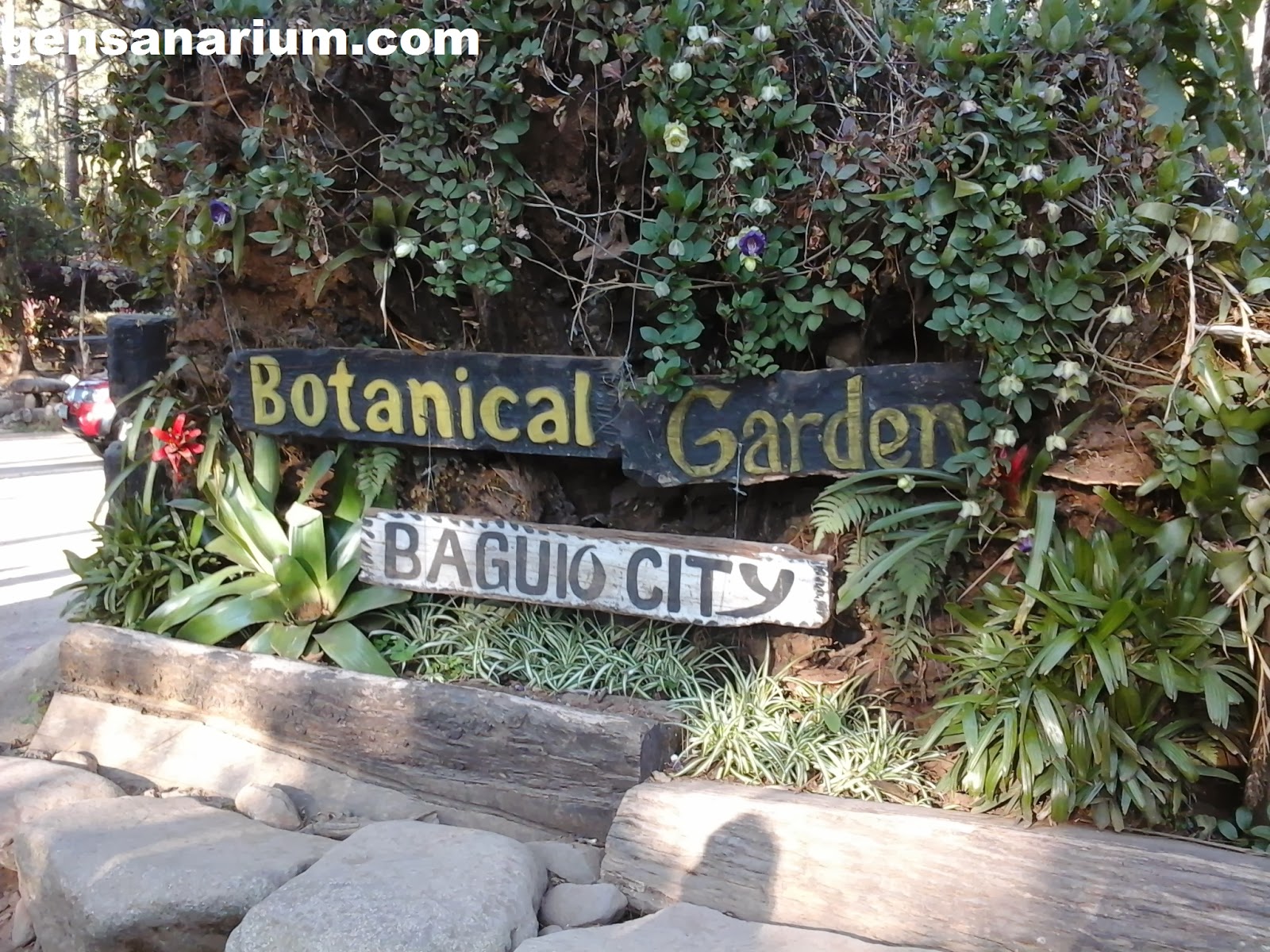 Side Trip: Baguio Botanical Garden || GENSANarium