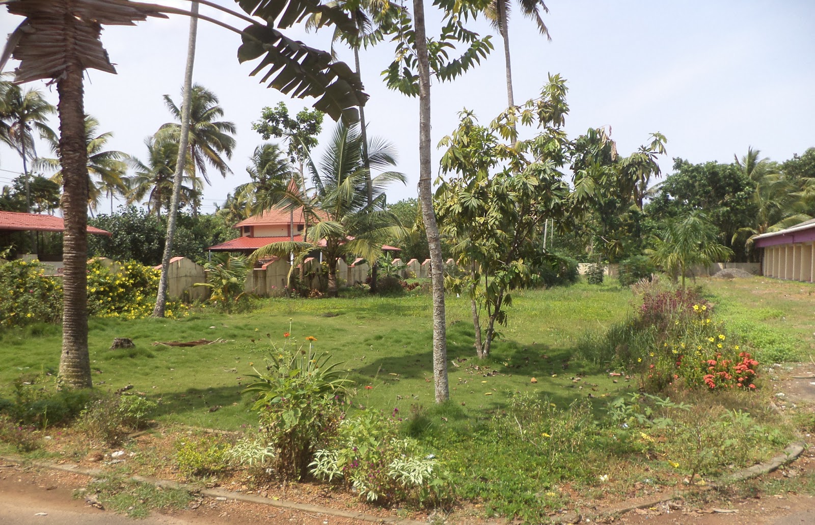 ST:XAVIER'S COLLEGE KOTHAVARA. PHOTO BLOG