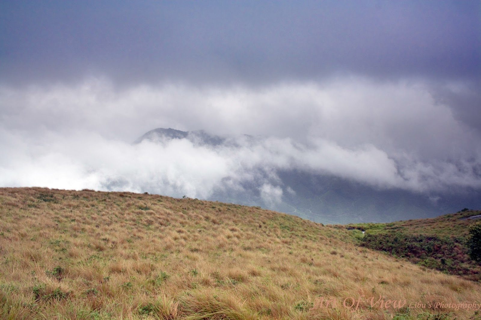 Raja Mala ( Eravikulam National Park) | Art Of View