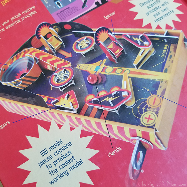 VEGAN Mom Blog - Vegan Kids Food, Lifestyle, Animal Rights: Pinball ...