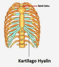 Biology TuteLaGe: 2015