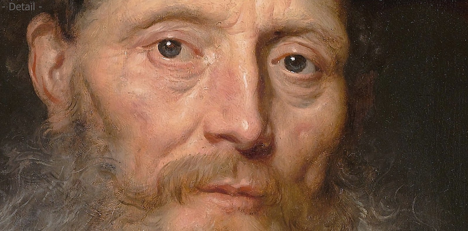 Govert-Flinck_Bearded-Man-with-a-velvet-Cap_MetropolitanNY-1645-detail ...