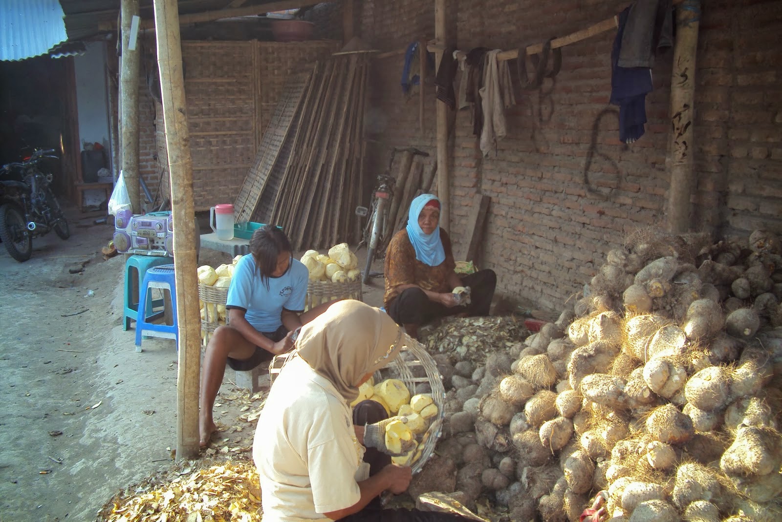 Aneka Makanan Dan Minuman khas Kediri: Manfaat dan Bahaya Ubi Gadung