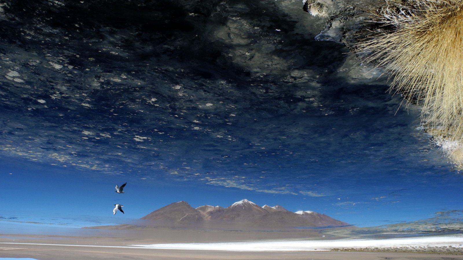 L'oeil du photographe: Survol