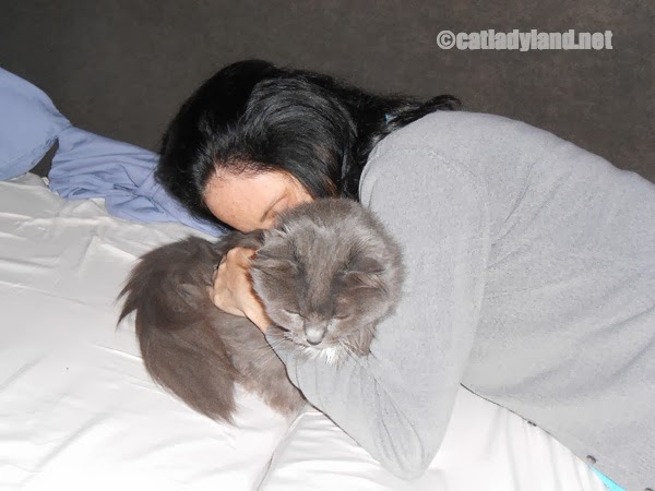 Catladyland: Cats are Funny: Cat Huffer is Huffing