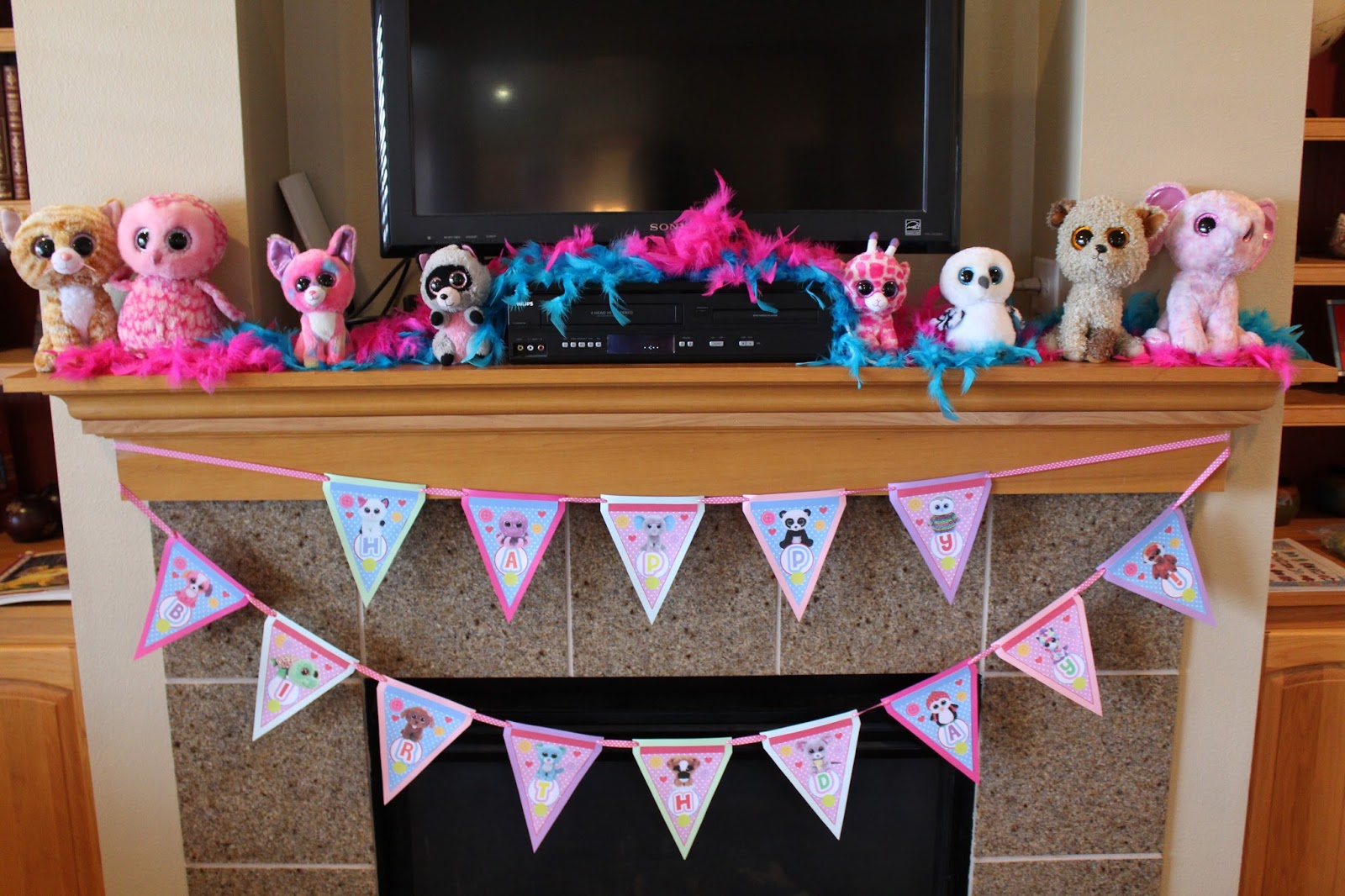 In The Hartland: Lia's Beanie Boo Birthday Party