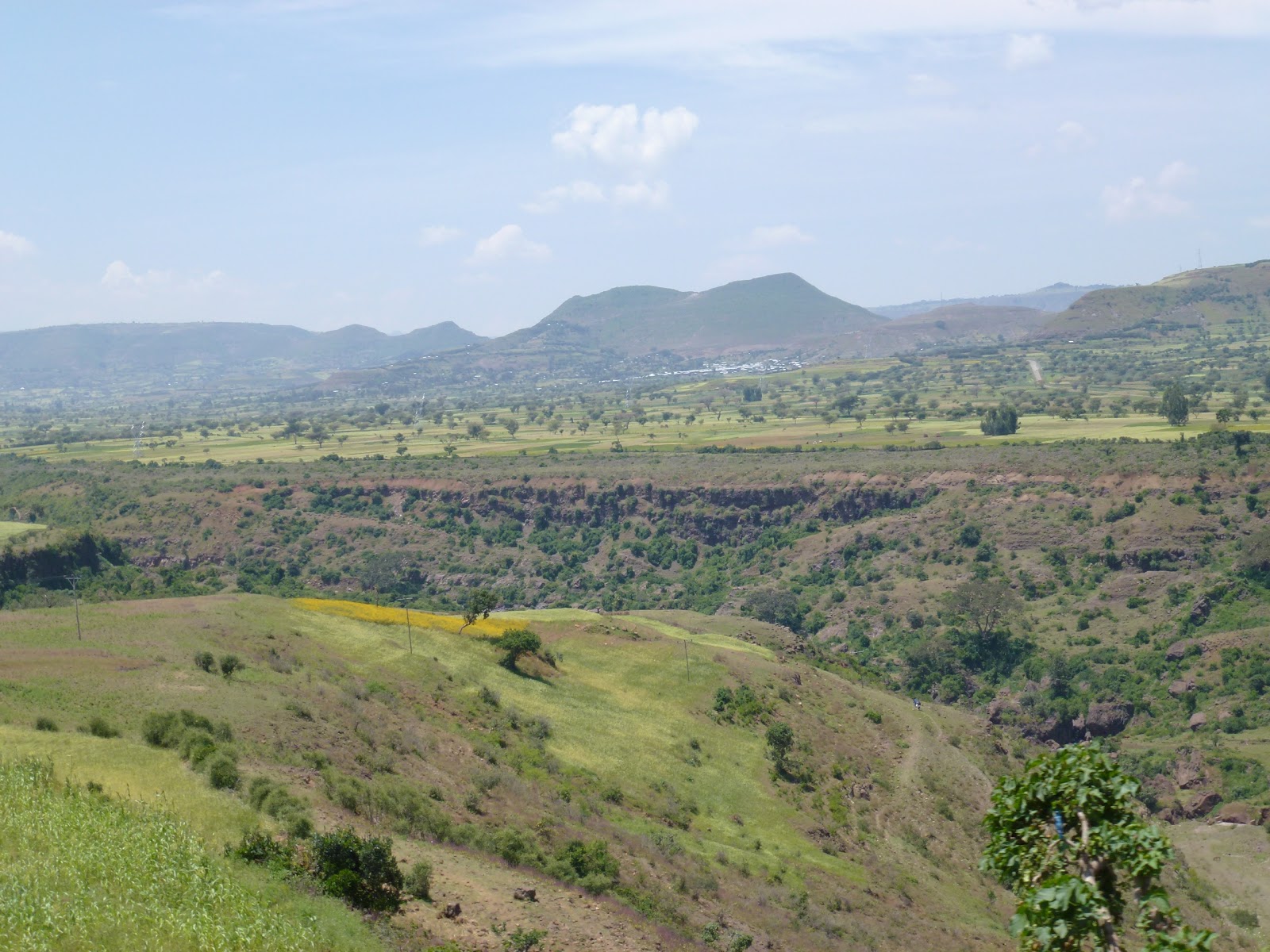 The Next Beginning: Getting to Mota