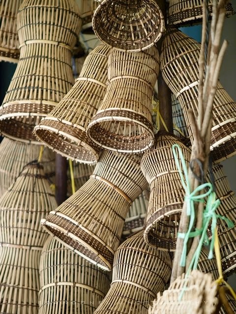 Perkara Menarik Yang Anda Perlu Tahu Mengenai Buluh |MyRokan