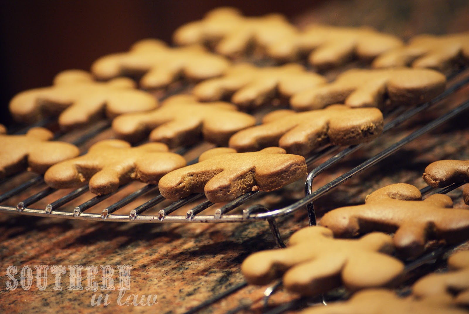 Southern In Law: Recipe: Low Fat Gingerbread (Though no one will ever ...