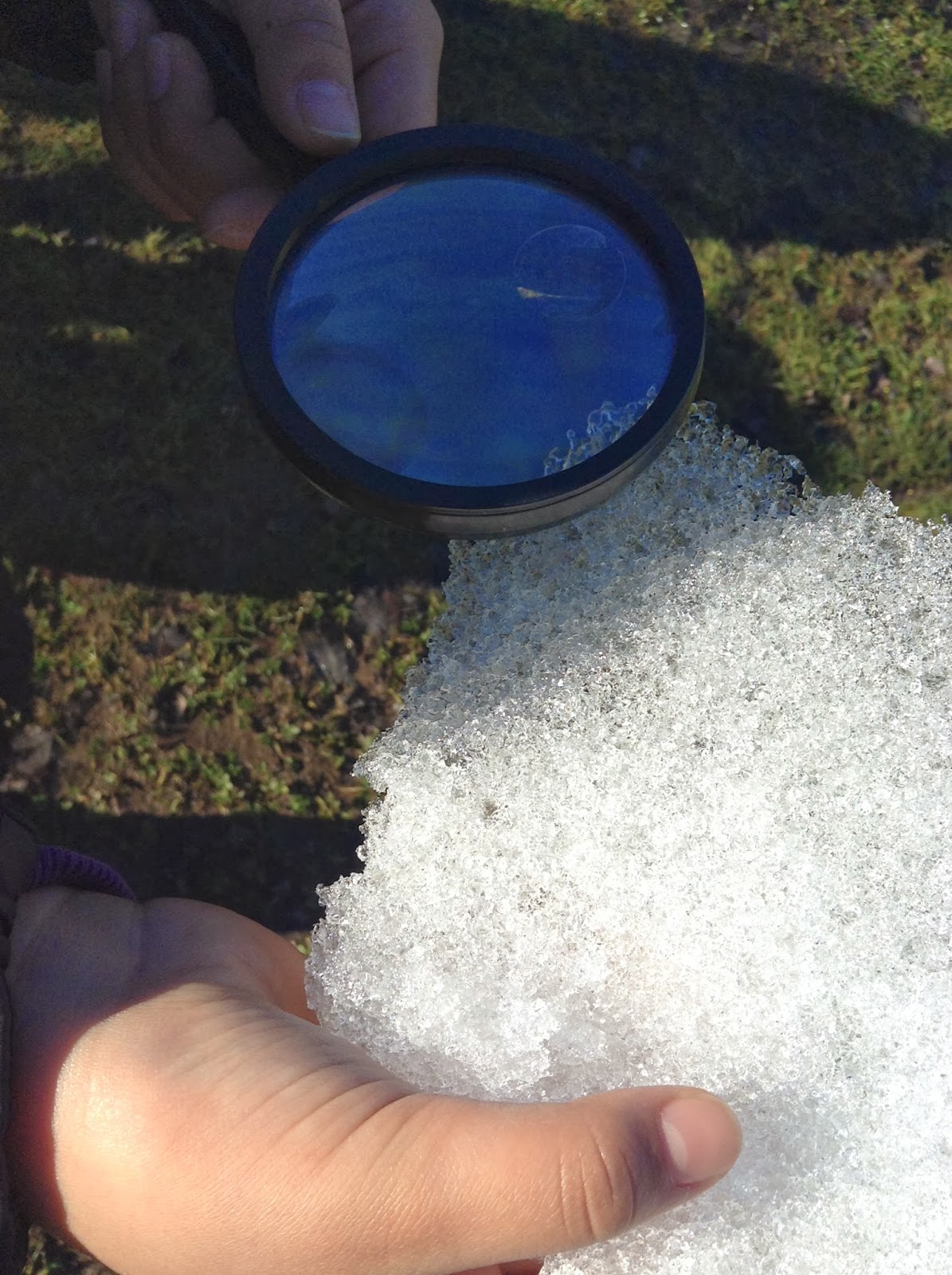 Mathematics and Science in School District #38 (Richmond): looking ...