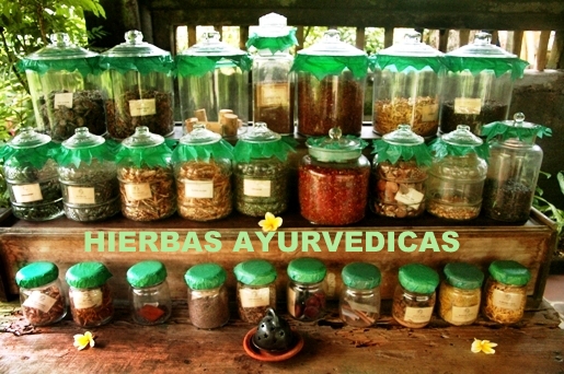 Hare Krishna Latino America: SHIRO ROGA DOLOR DE CABEZA Y CURA AYURVEDA