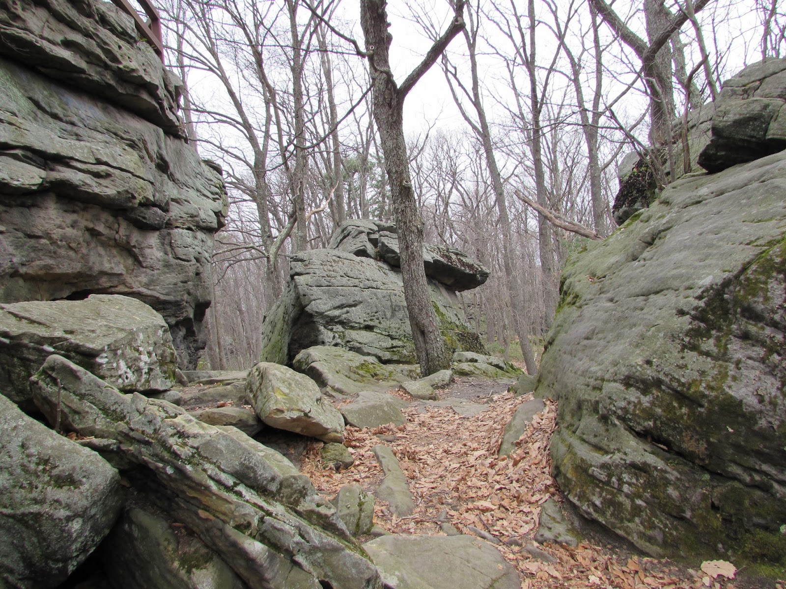 Beartown Rocks: A Rock City in Clear Creek State Forest, Jefferson ...