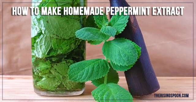 How to Make Mint Extract | The Rising Spoon