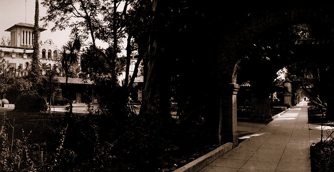 LA IMAGEN DEL SIGLO.: AVERY EDWIN FIELD