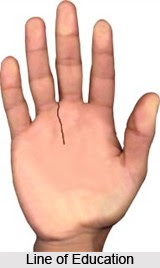 Line of Education on Palm - Palm Reading India
