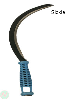 Different Ways of Cutting Name Meaning & Images |Necessary Vocabulary ...