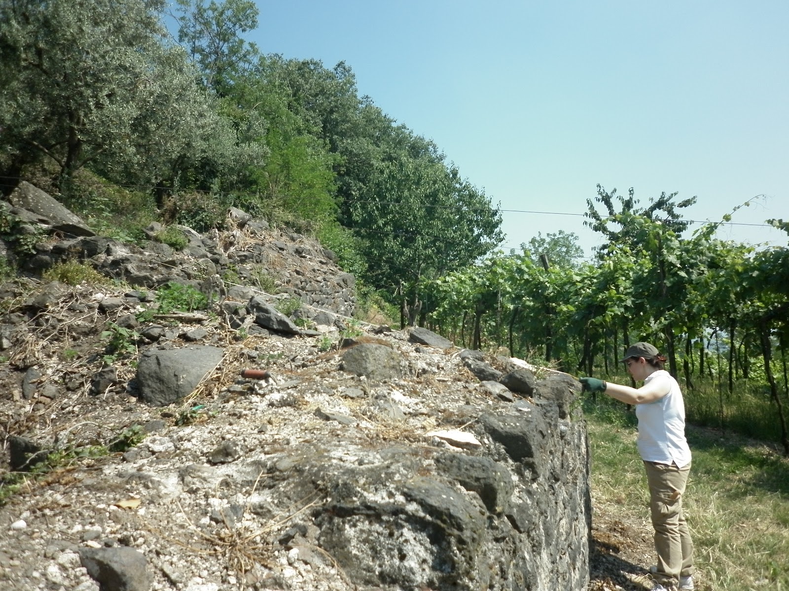 L'antichità intorno a noi: Insediamento di Terrossa ( Roncà VR )