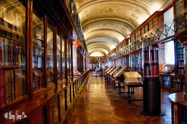 Torino In My eyes: Royal Library Of Turin
