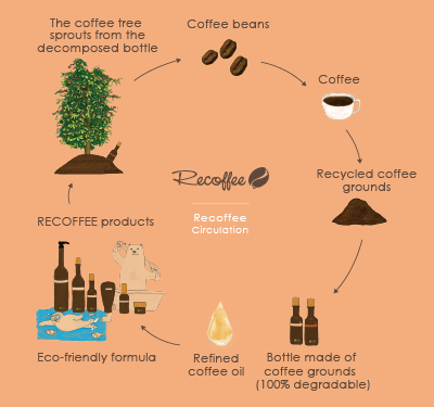 O'right recoffee oil - pažeistiems plaukams / RECOFFEE Hair Oil -100% ...