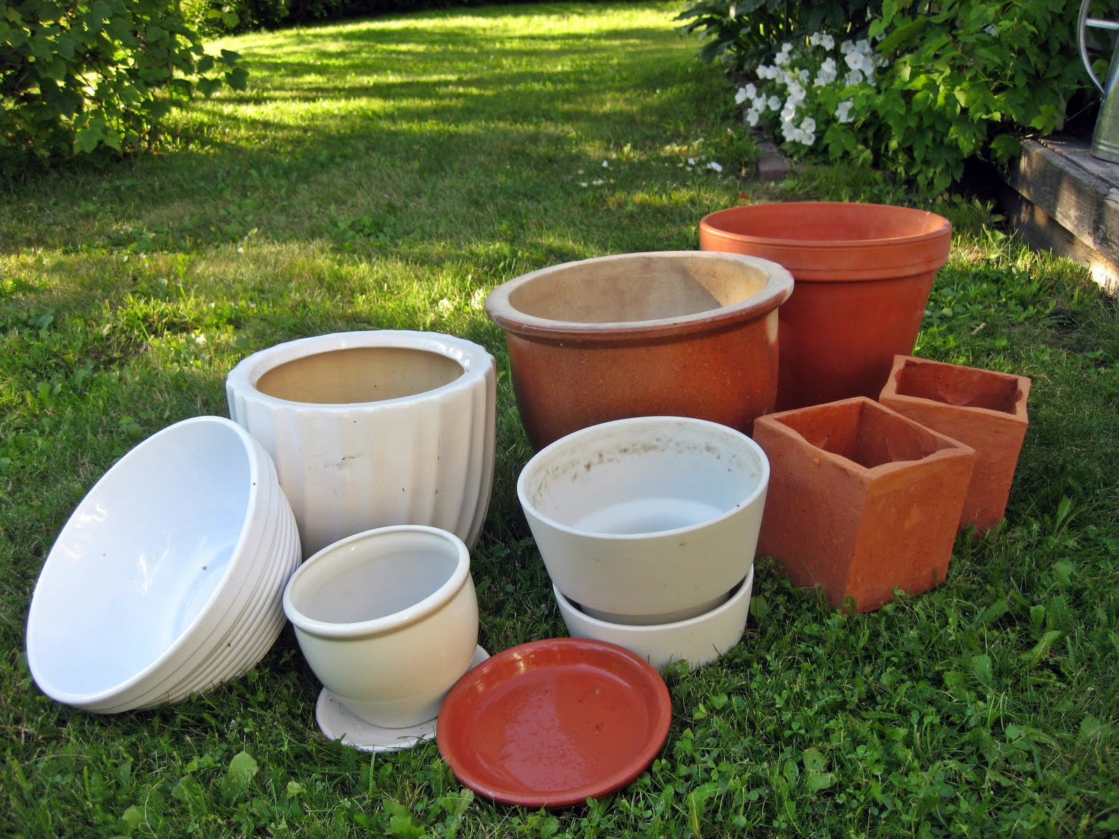 Onshore: Pot decluttering