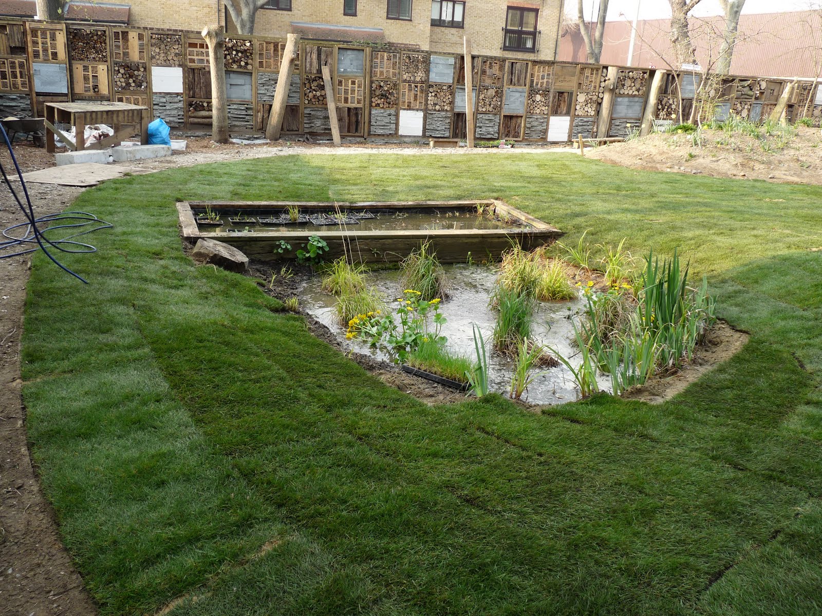Galleywall Nature Reserve: from pond to bog garden