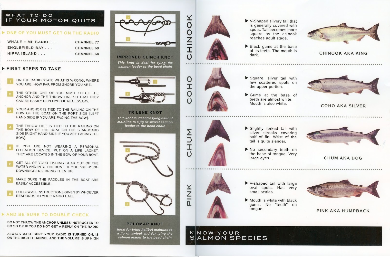 TravelMarx: West Coast Resorts, The Lodge at Whale Channel for the Non ...