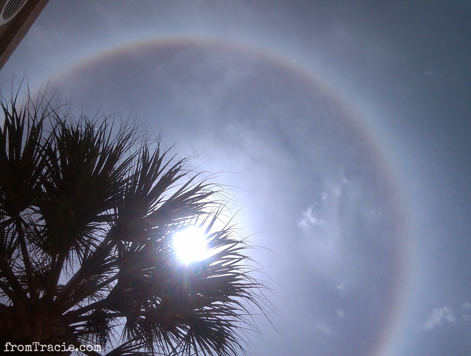 From Tracie: Ring Around The Sun