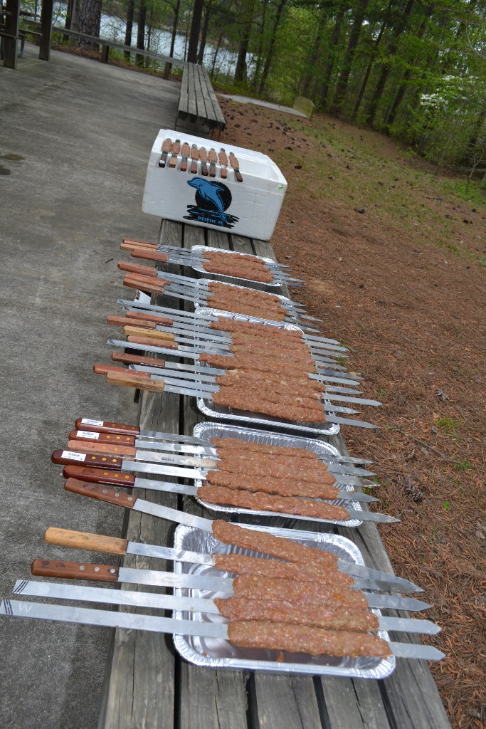 Cafe' Persia: 13 Bedar (Persian Spring Picnic 2016)