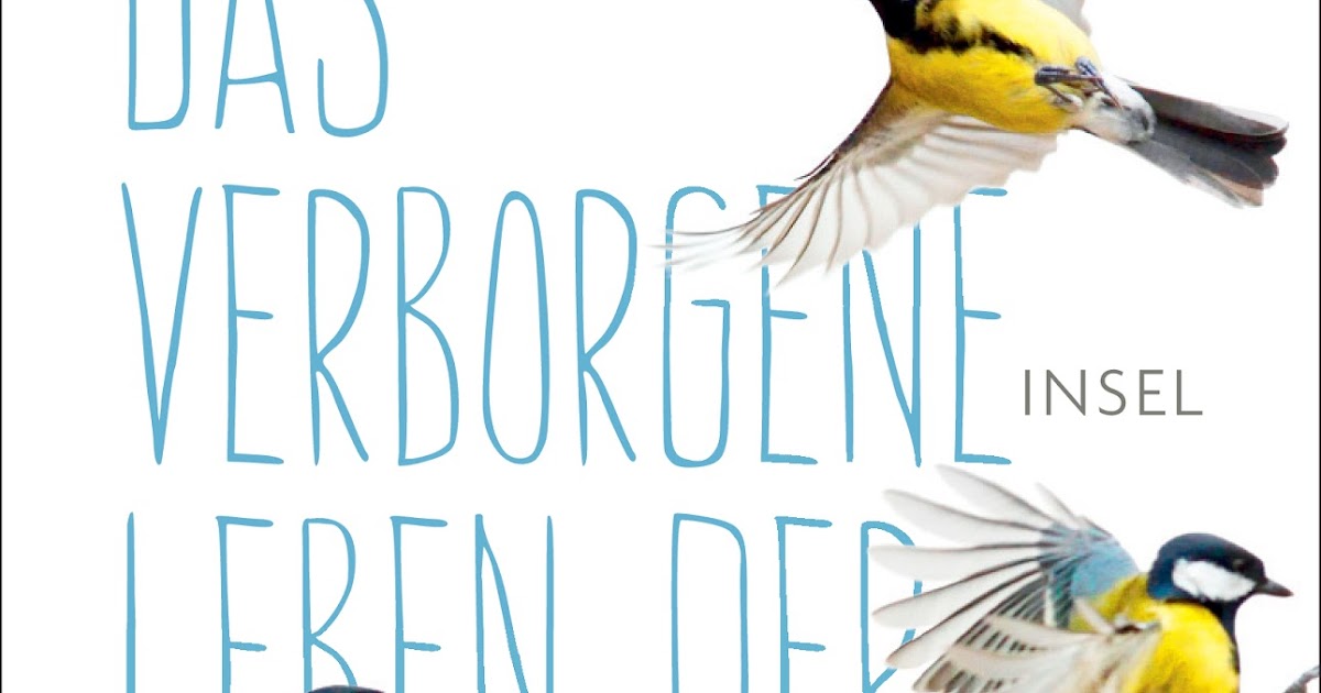 Andreas Tjernshaugen: Das verborgene Leben der Meisen: First responses ... Andreas Tjernshaugen: Das verborgene Leben der Meisen: First responses ...